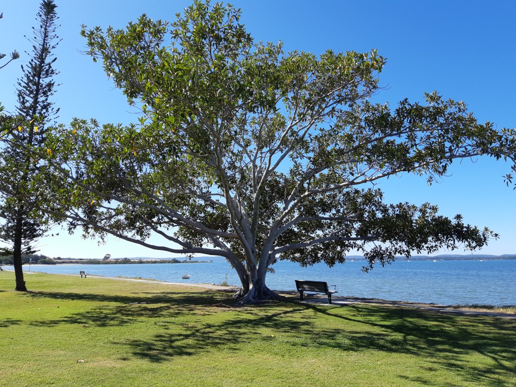 Surprising Insights About W.H. Yeo Park – Victoria Point