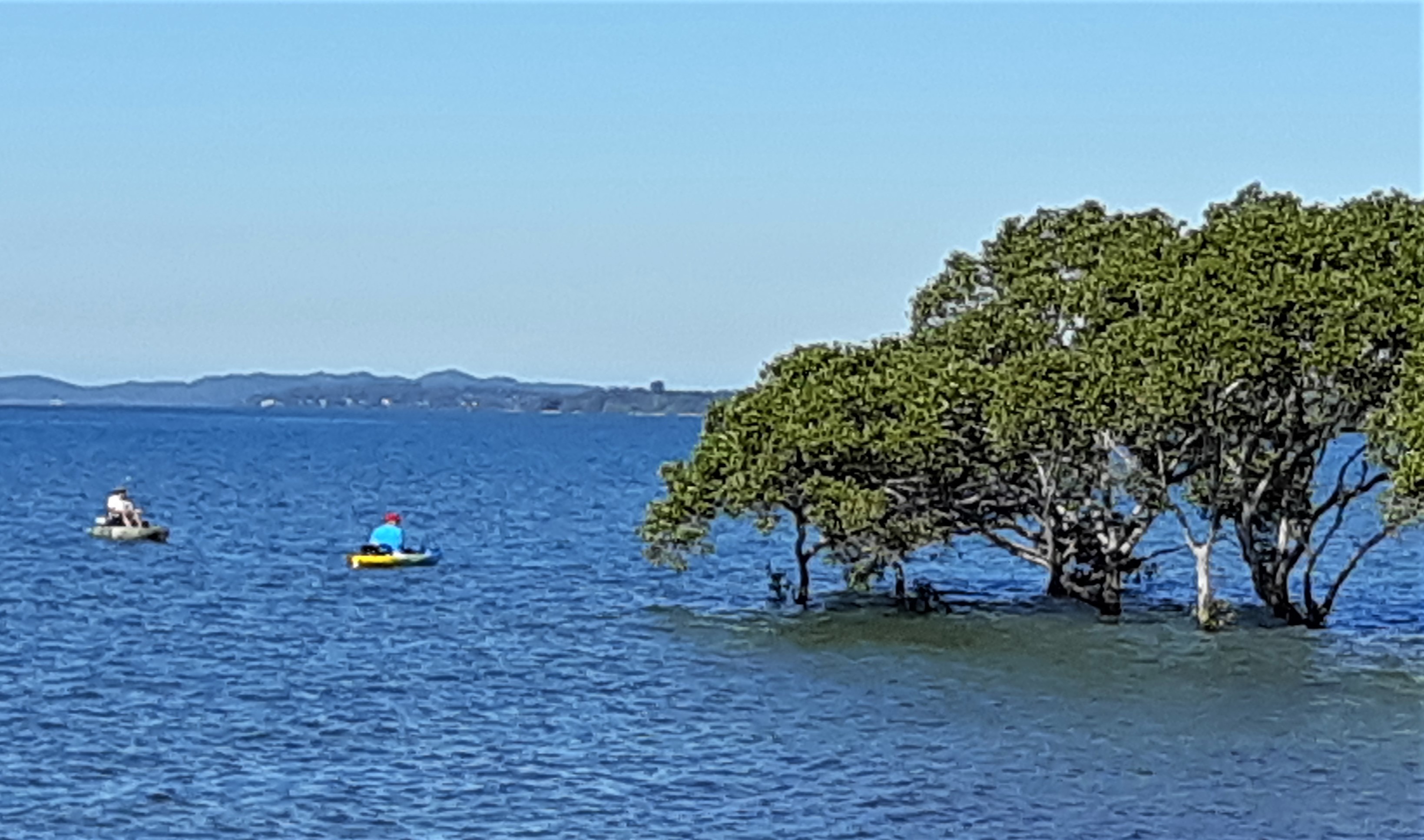Surprising Insights About W.H. Yeo Park – Victoria Point