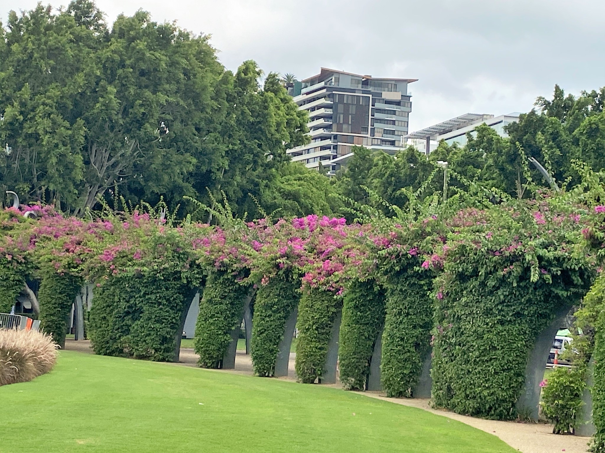 Enjoy A Walk In Brisbane; What You’ll See – Gardens, Art, Cafes ...