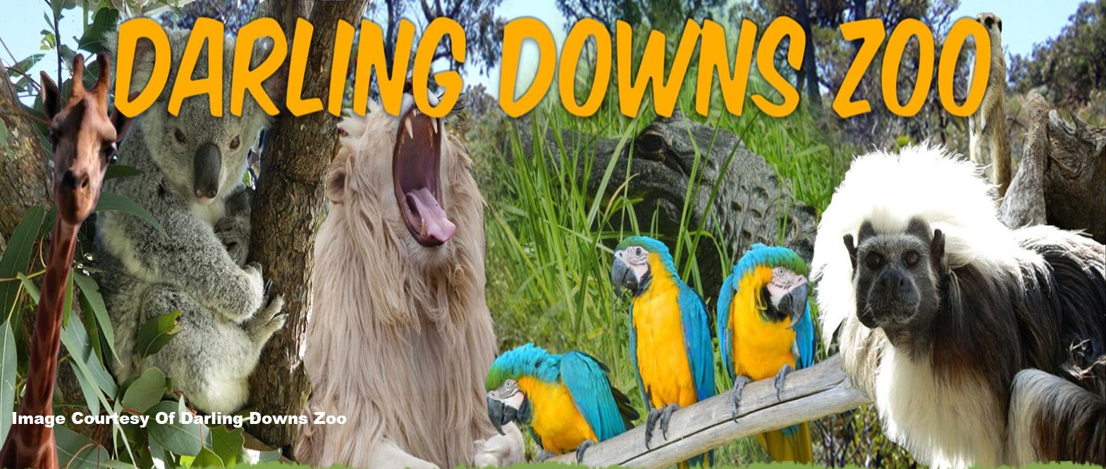 Darling Downs Zoo