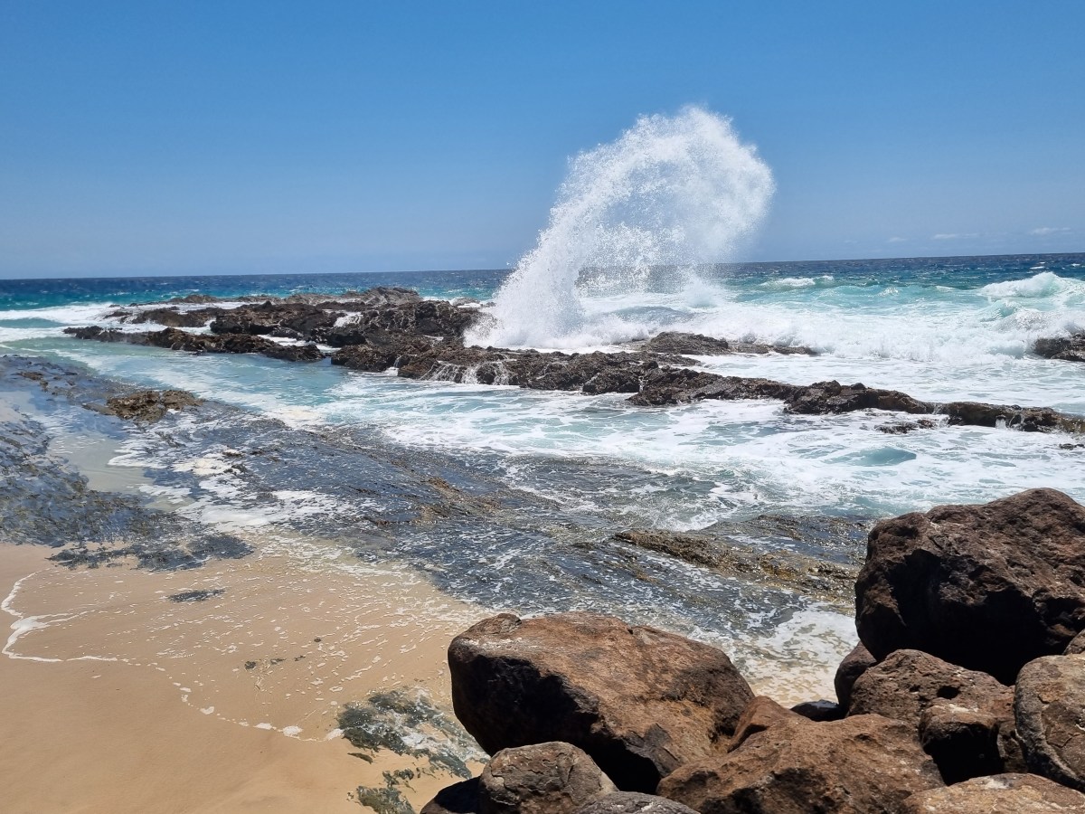 A Day at Snapper Rocks: Surfing, Beach, and Sightseeing