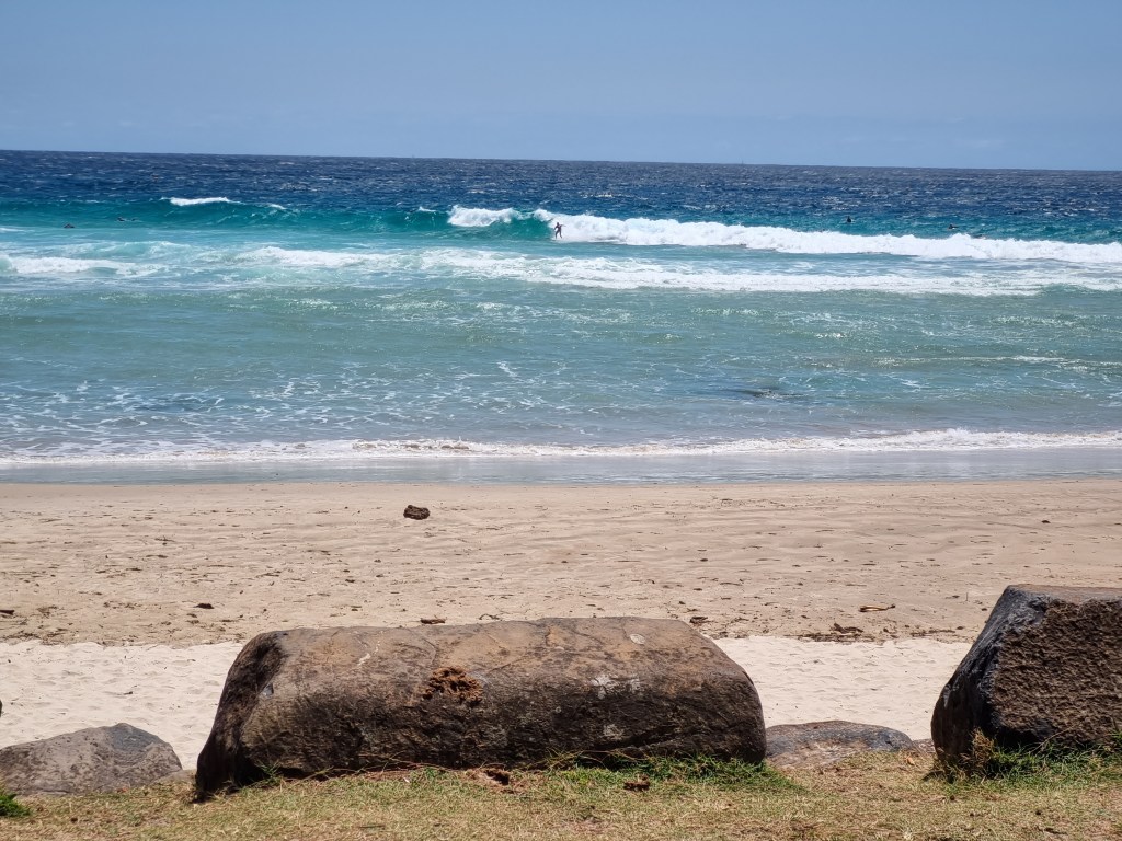 A Day at Snapper Rocks: Surfing, Beach, and Sightseeing