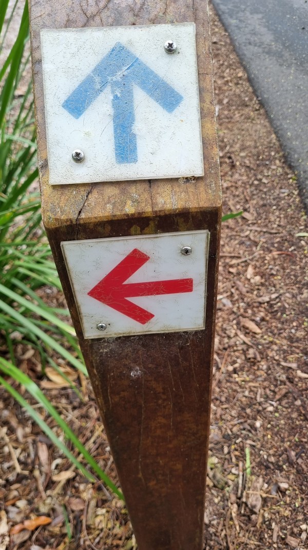 Discover the Beauty of Noosa Botanic Gardens: Visitor Guide