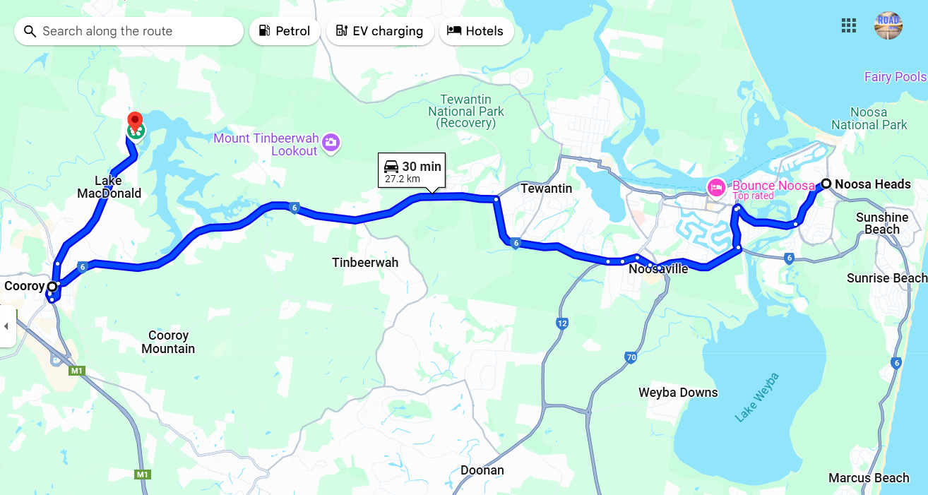 Discover the Beauty of Noosa Botanic Gardens: Visitor Guide