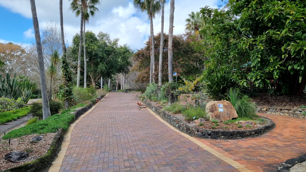 Discover the Beauty of Noosa Botanic Gardens: Visitor Guide