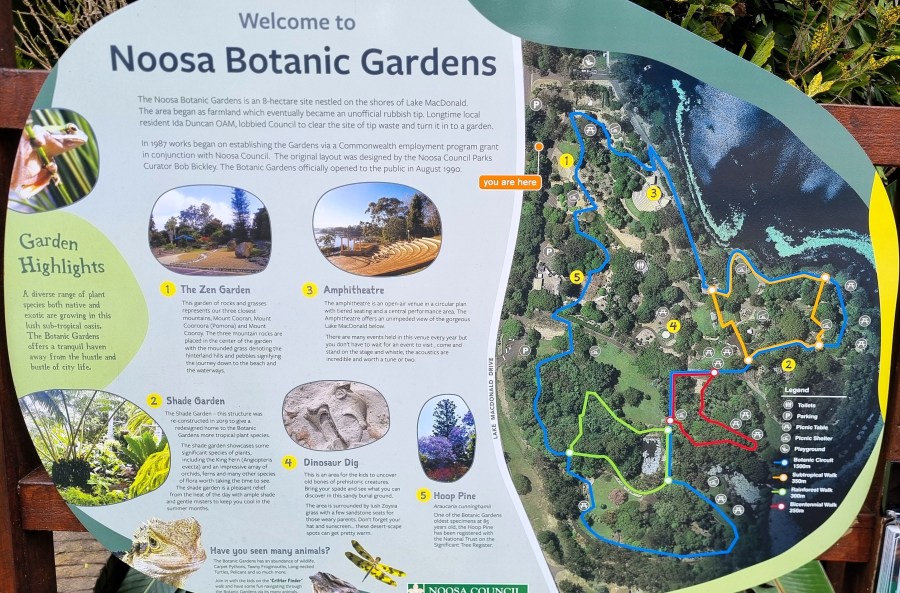 Discover the Beauty of Noosa Botanic Gardens: Visitor Guide