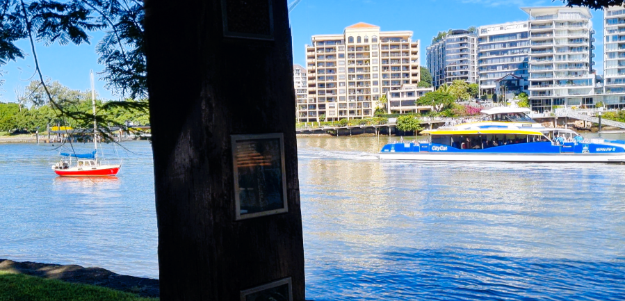 New Farm River Walk: The Route Locals Love (And Tourists Miss)