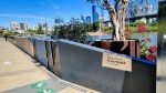 New Farm River Walk: The Route Locals Love (And Tourists Miss)